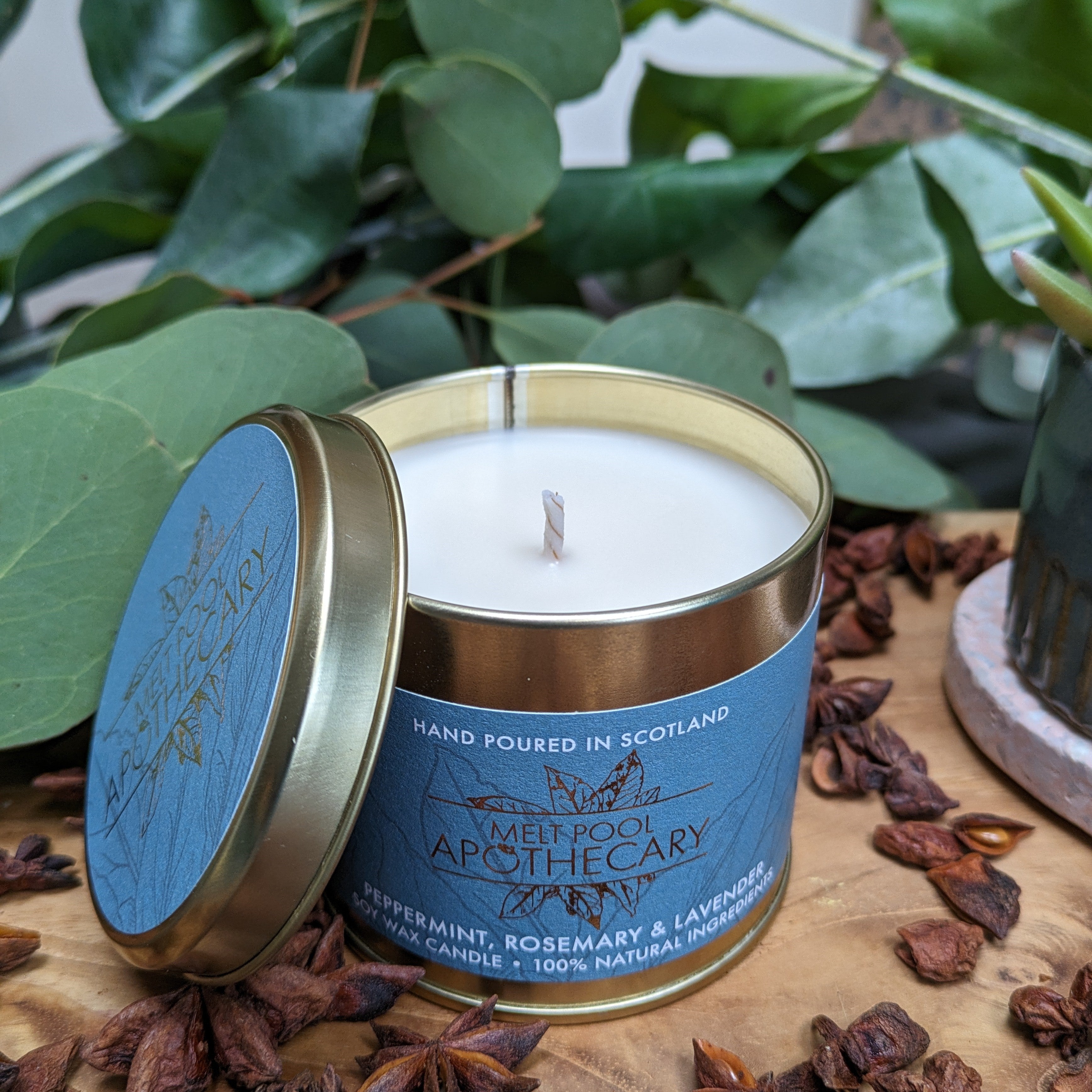 Melt Pool-Aromatherapy Candles & Diffusers to Improve Your Wellbeing ...